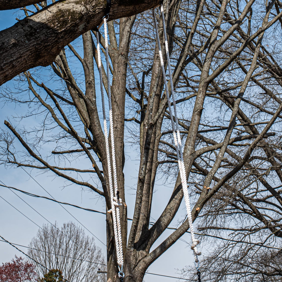 DIY Rope Swing: Easy Step-by-Step Guide for Your Backyard | SGT KNOTS®