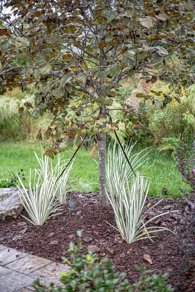 Decorative Rope - Landscape Rope | SGT KNOTS®